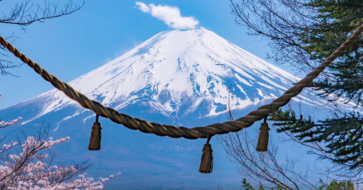 [Tour di un giorno al Monte Fuji con famosi punti panoramici] Museo d ...